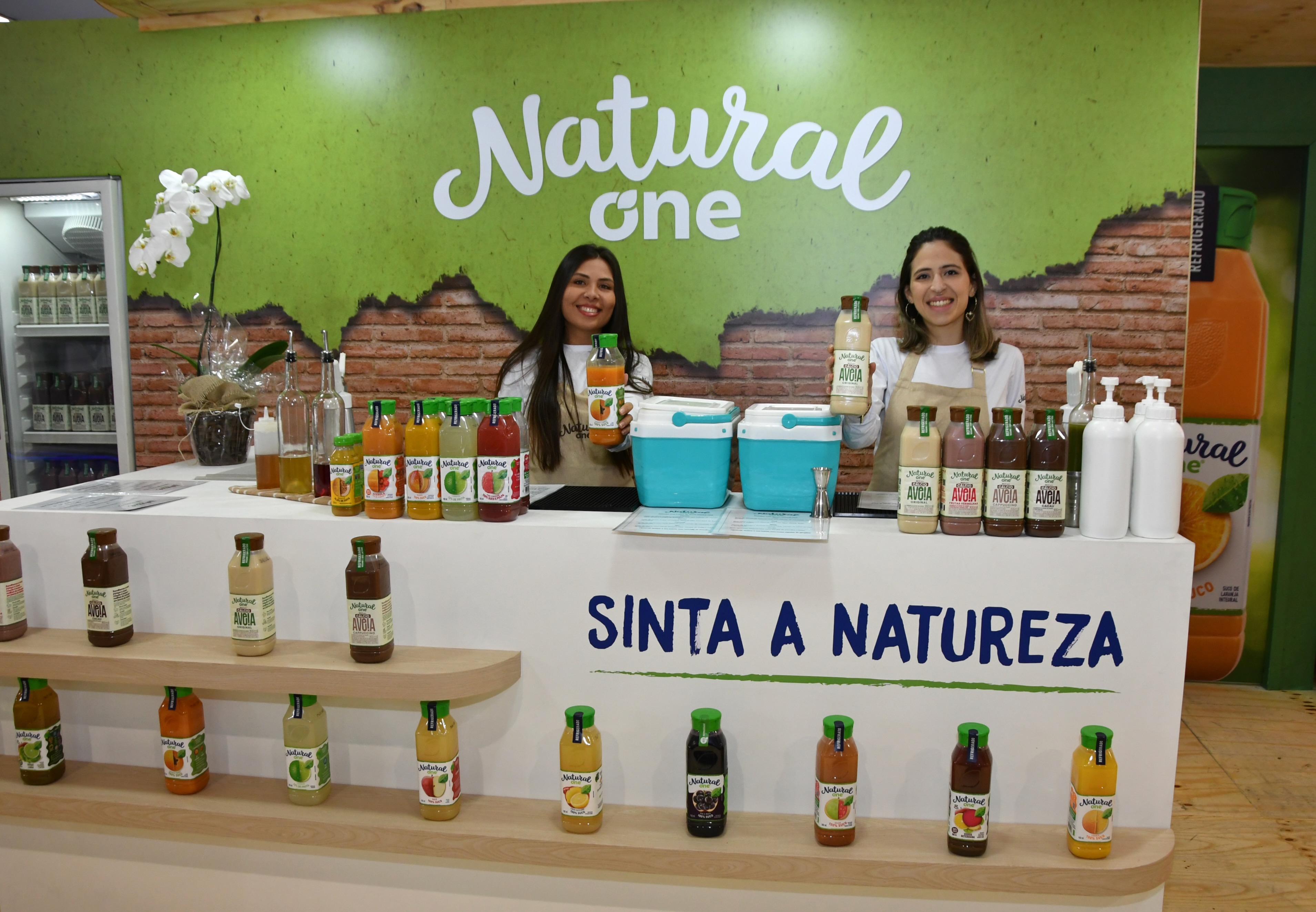 Natural One segue consolidada como a marca mais importante do mercado ...