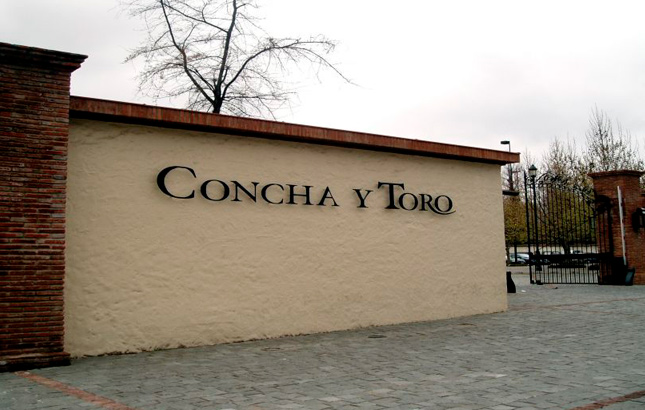 Concha Y Toro tem novo diretor comercial